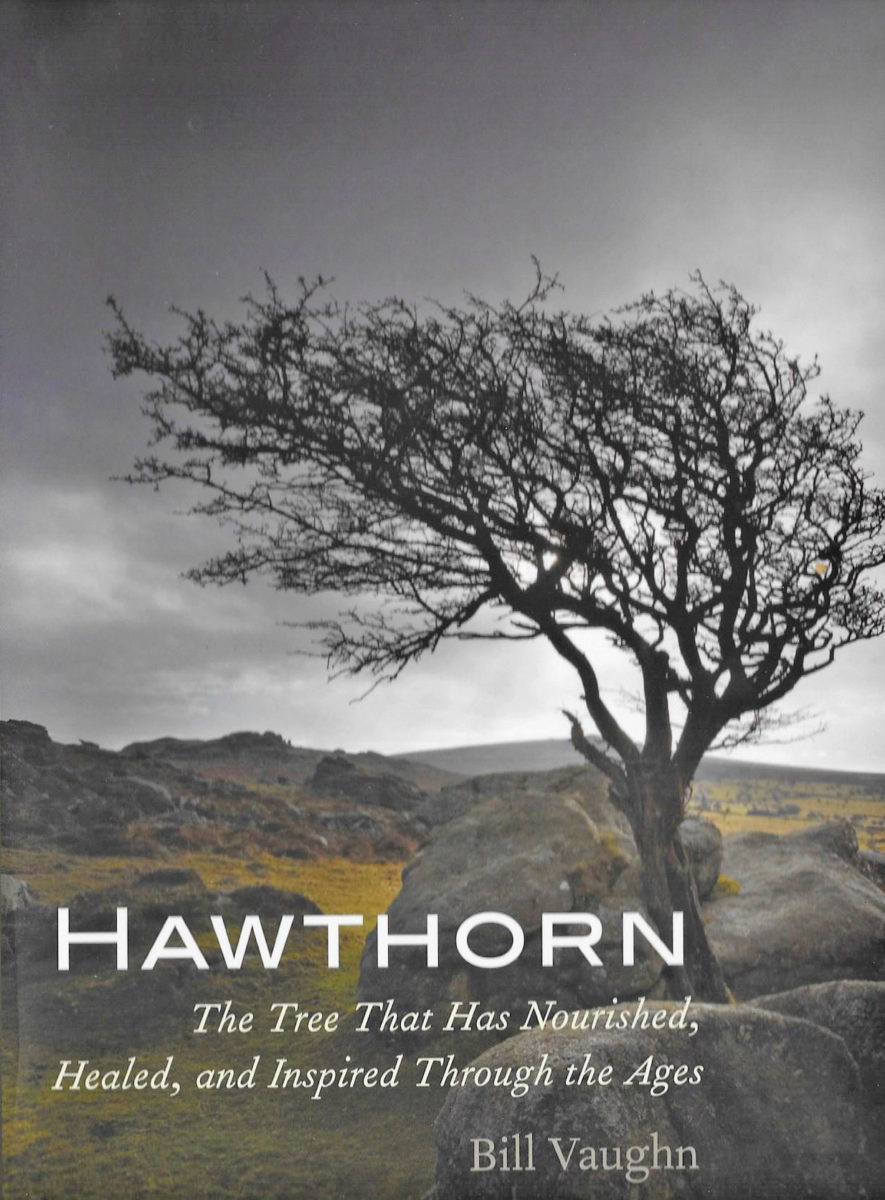 Bill Vaughn | Hawthorn: The Tree That Has Nourished, Healed, and ...