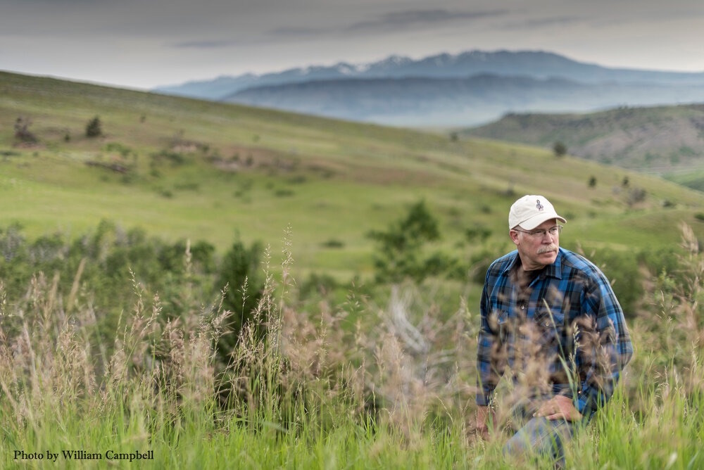 John Lowell | This Long Stretch of Gravel - Lively Times