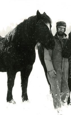 Lively Times | Montana Arts and Entertainment Calendar